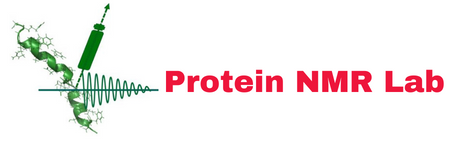 Principal Investigator – Protein NMR LAB