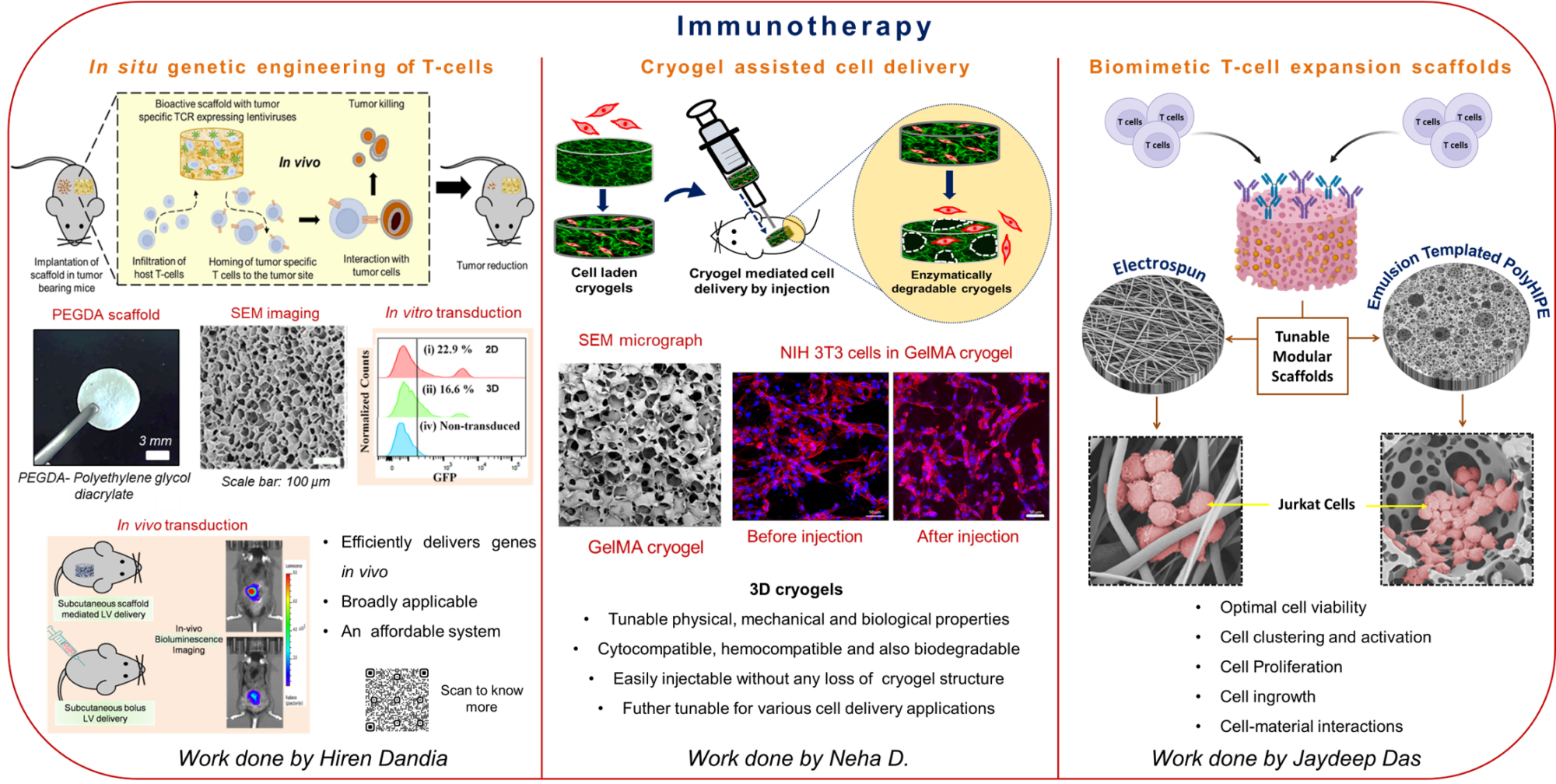 Our research at a glance – Cell and tissue Engineering Lab IIT Bombay