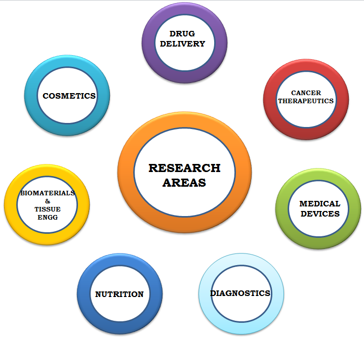 Research Areas Nanomedicine
